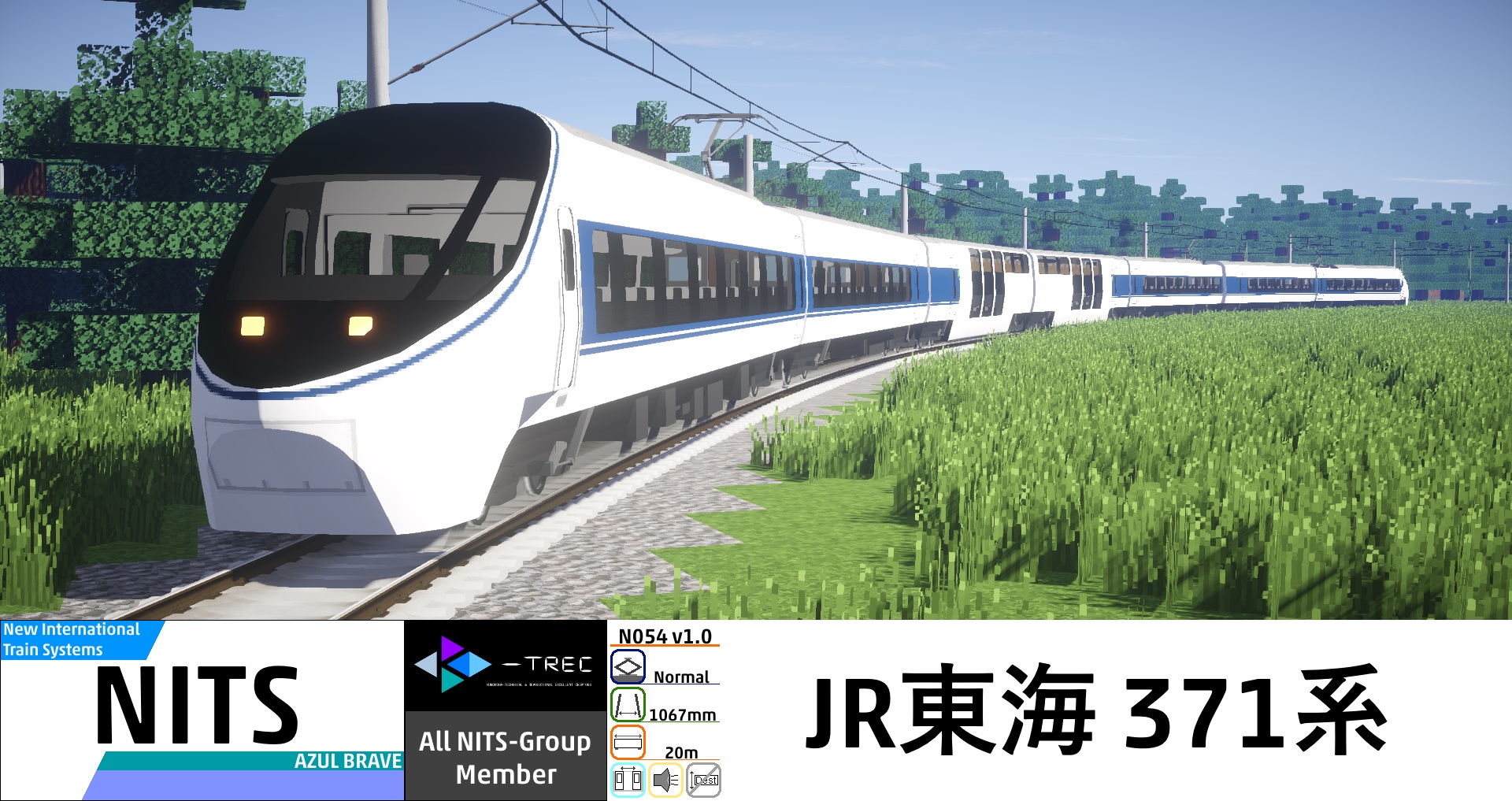 RTM-Japan - #NITStrain
