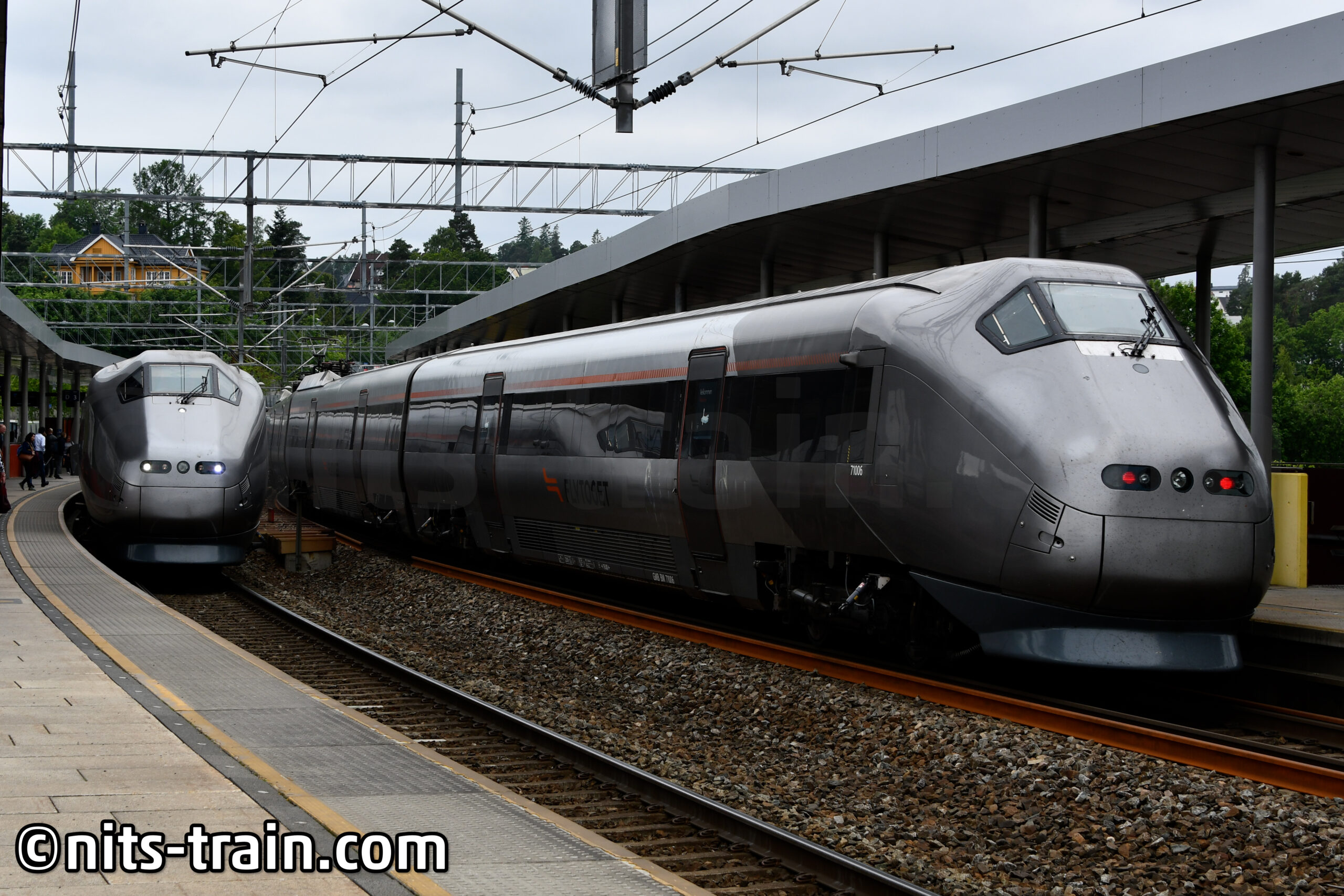 #NITSpedia: Type 71 - #NITStrain