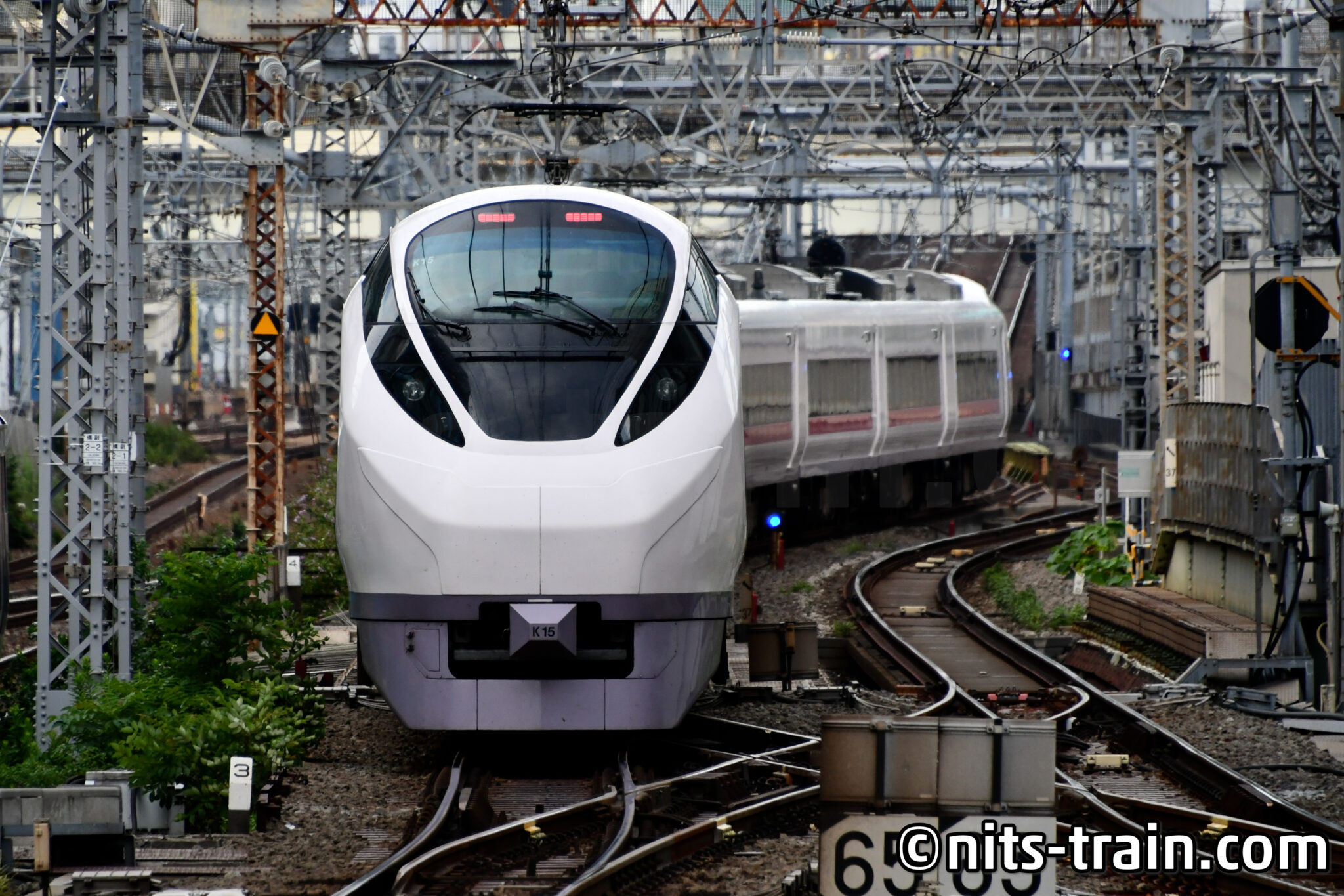 N031: E657 Series - #NITStrain