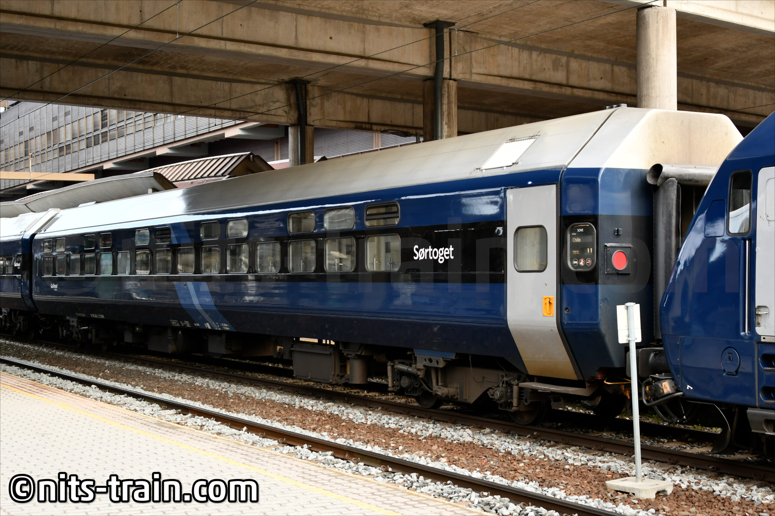 #NITSpedia: WLAB-2 - #NITStrain